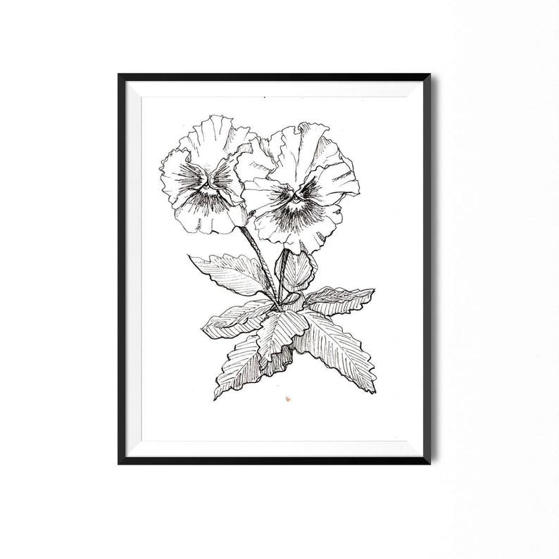 Pansy Print Flower Art Botanical Illustration Blossom - Etsy
