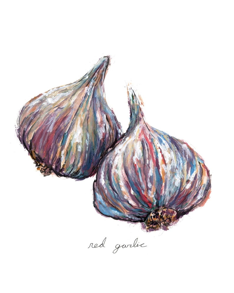 Garlic Hand-painted Print // Food Painting Garlic Art - Etsy Australia