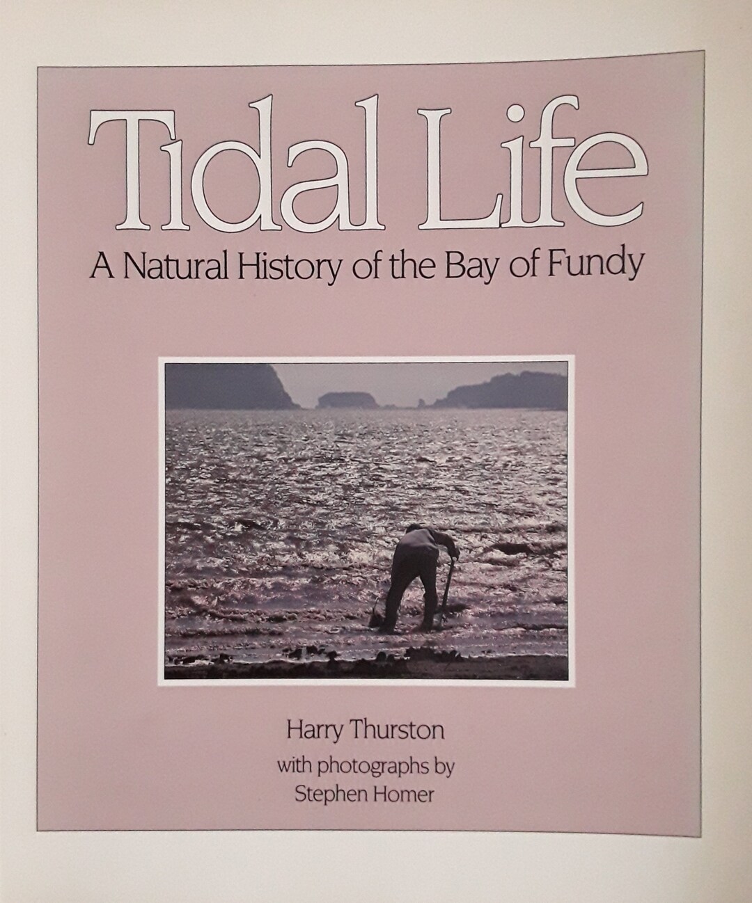 Tidal Life: A Natural History of the Bay of Fundy by Harry Thurston ...