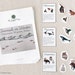 Human Anatomy & Organs Montessori 3 Part Cards and Labeling Activity ...