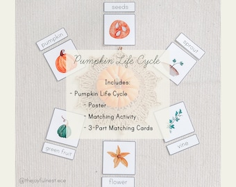 Human Anatomy & Organs Montessori 3 Part Cards and Labeling - Etsy