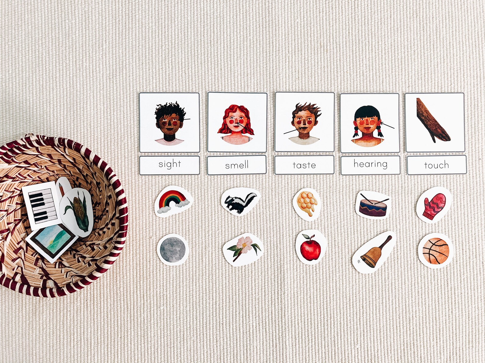 Five Senses Activities & Montessori 3 Part Cards Printable - Etsy