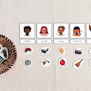 Five Senses Activities & Montessori 3 Part Cards | Printable PDF ...