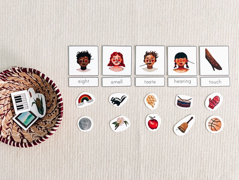 Five Senses Activities & Montessori 3 Part Cards | Printable PDF ...