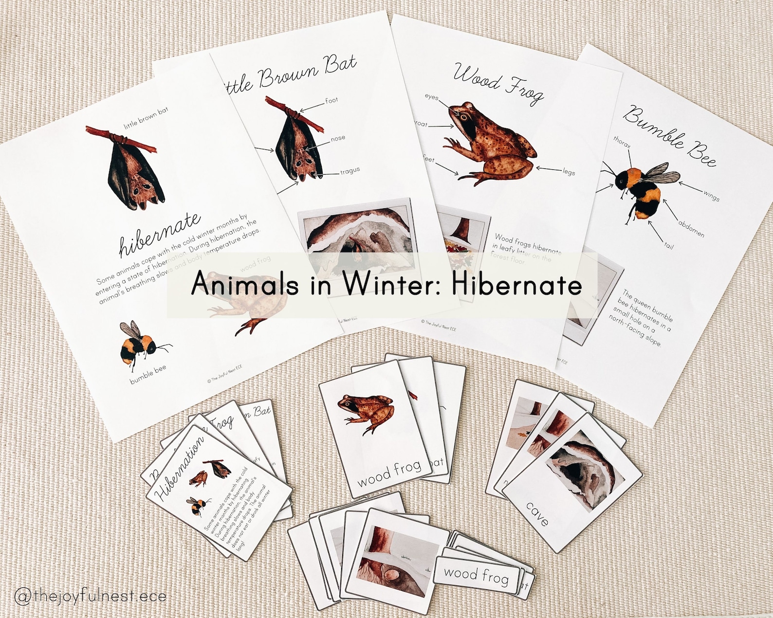 Animals in Winter: Hibernate, Migrate, Adapt | Unit Study | Montessori ...