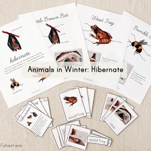Animals in Winter: Hibernate, Migrate, Adapt | Unit Study | Montessori ...