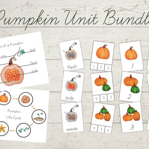 Pumpkin Unit Bundle: Life Cycle, Anatomy, Counting Cards, Songs, and ...