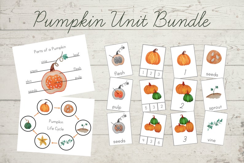 Pumpkin Unit Bundle: Life Cycle, Anatomy, Counting Cards, Songs, and ...