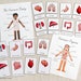 Human Anatomy & Organs | Montessori 3 Part Cards and Labeling Activity ...