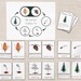 Conifer Tree Unit Study Bundle: Life Cycle Parts of a Tree - Etsy