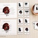 Turkey Anatomy Study Parts of a Turkey Poster, Labeling Activity, 3 ...
