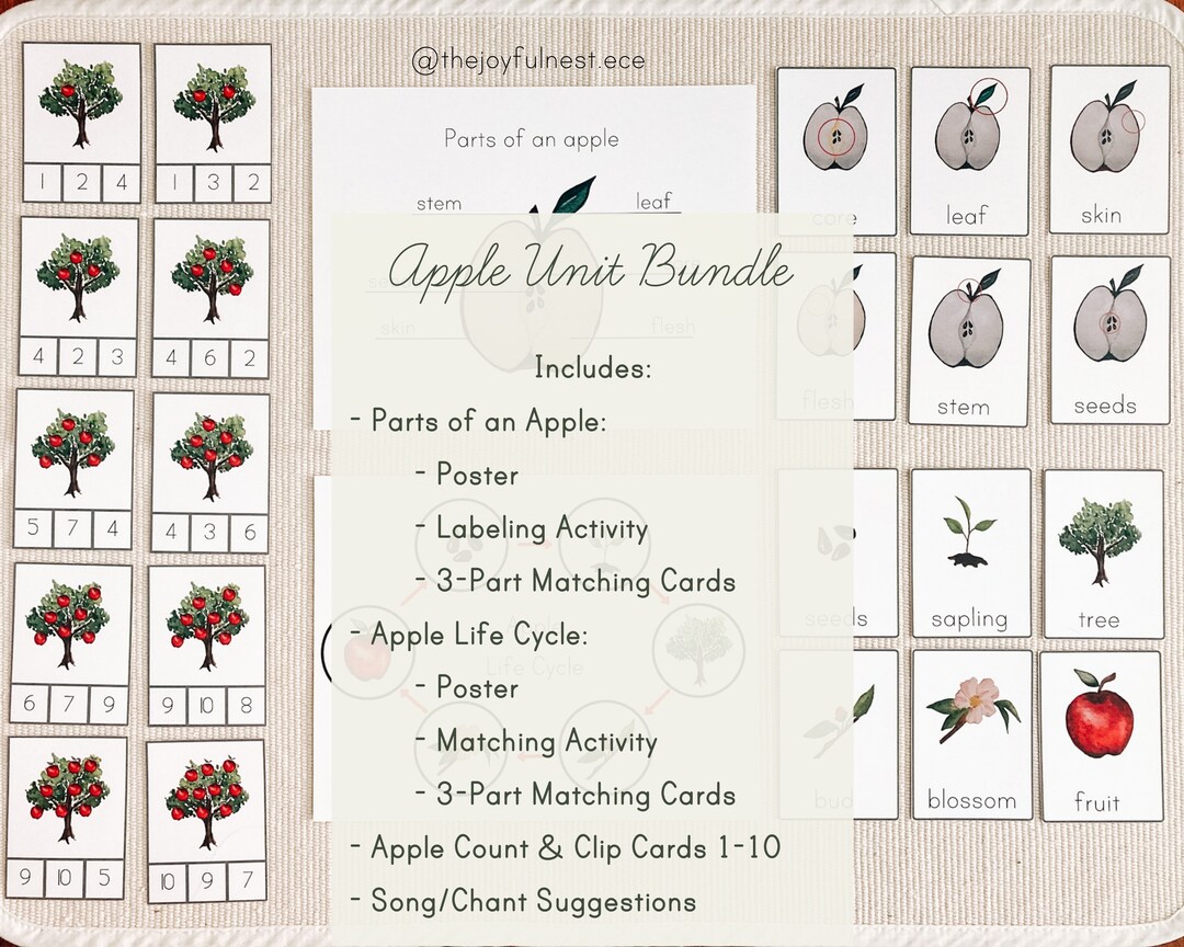 Apple Unit Bundle: Apple Life Cycle, Anatomy, Counting, and More ...