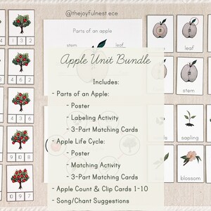 Apple Unit Bundle: Apple Life Cycle, Anatomy, Counting, and More ...