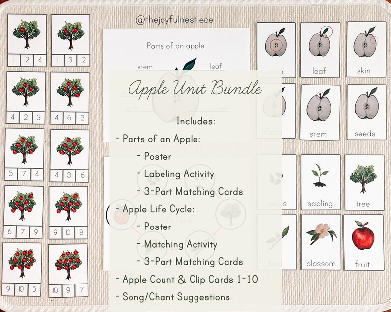 Apple Unit Bundle: Apple Life Cycle Anatomy Counting and - Etsy
