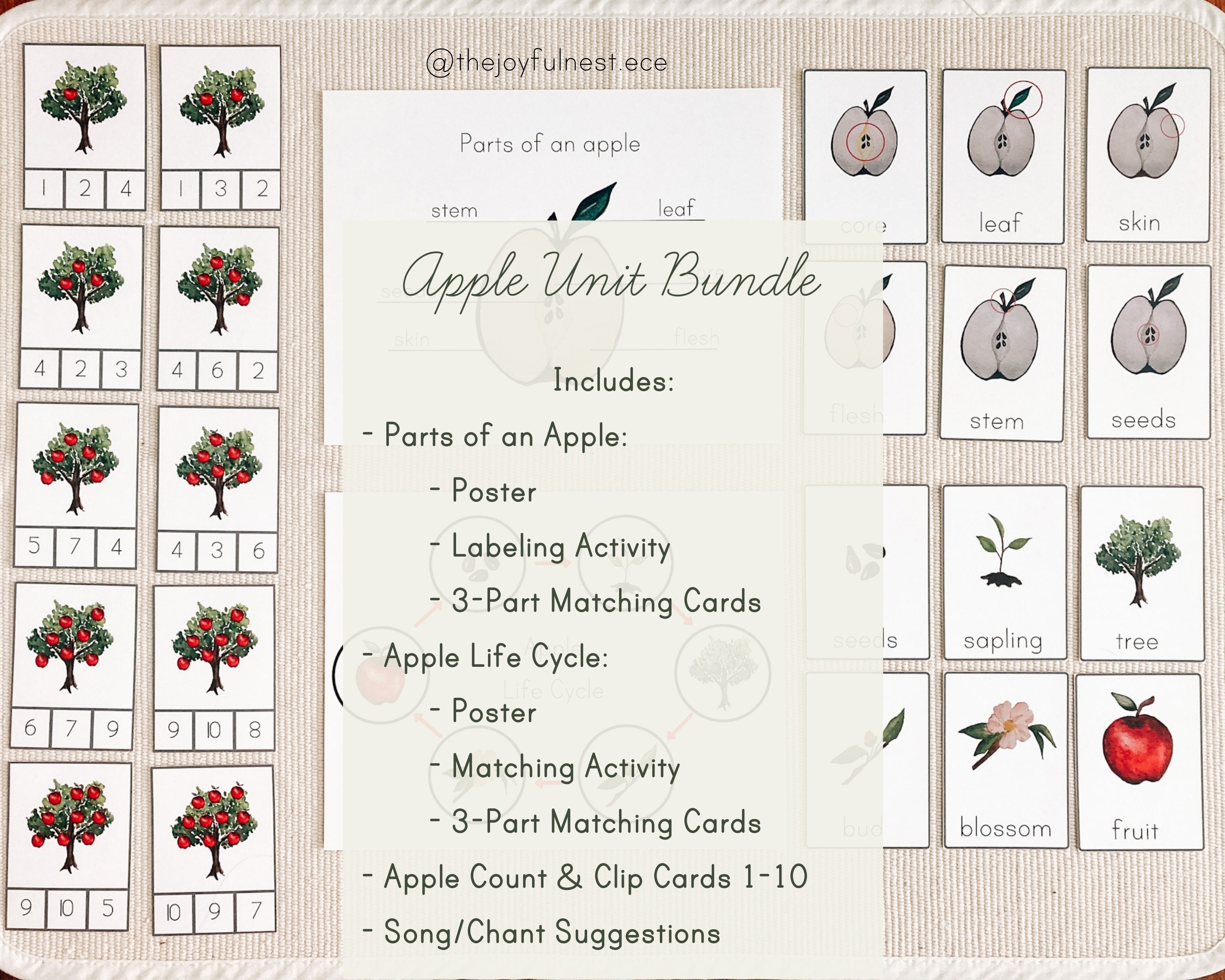 Apple Unit Bundle: Apple life cycle anatomy counting and | Etsy