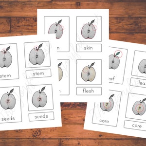 Apple Unit Bundle: Apple Life Cycle, Anatomy, Counting, and More ...