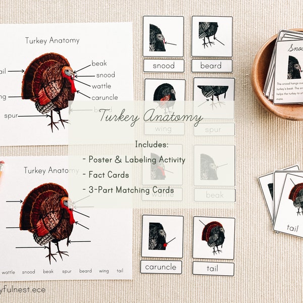 TheJoyfulNestECE - Etsy