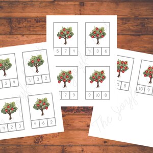 Apple Unit Bundle: Apple Life Cycle, Anatomy, Counting, and More ...