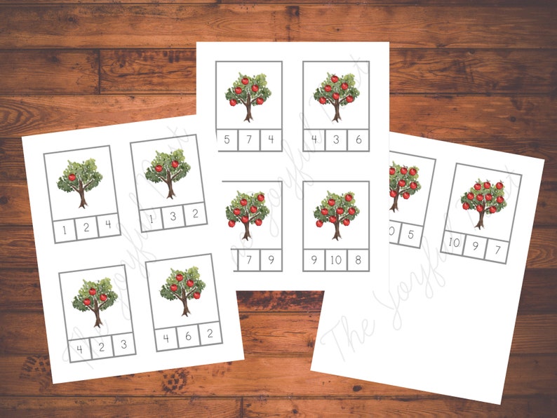 Apple Unit Bundle: Apple Life Cycle Anatomy Counting and - Etsy