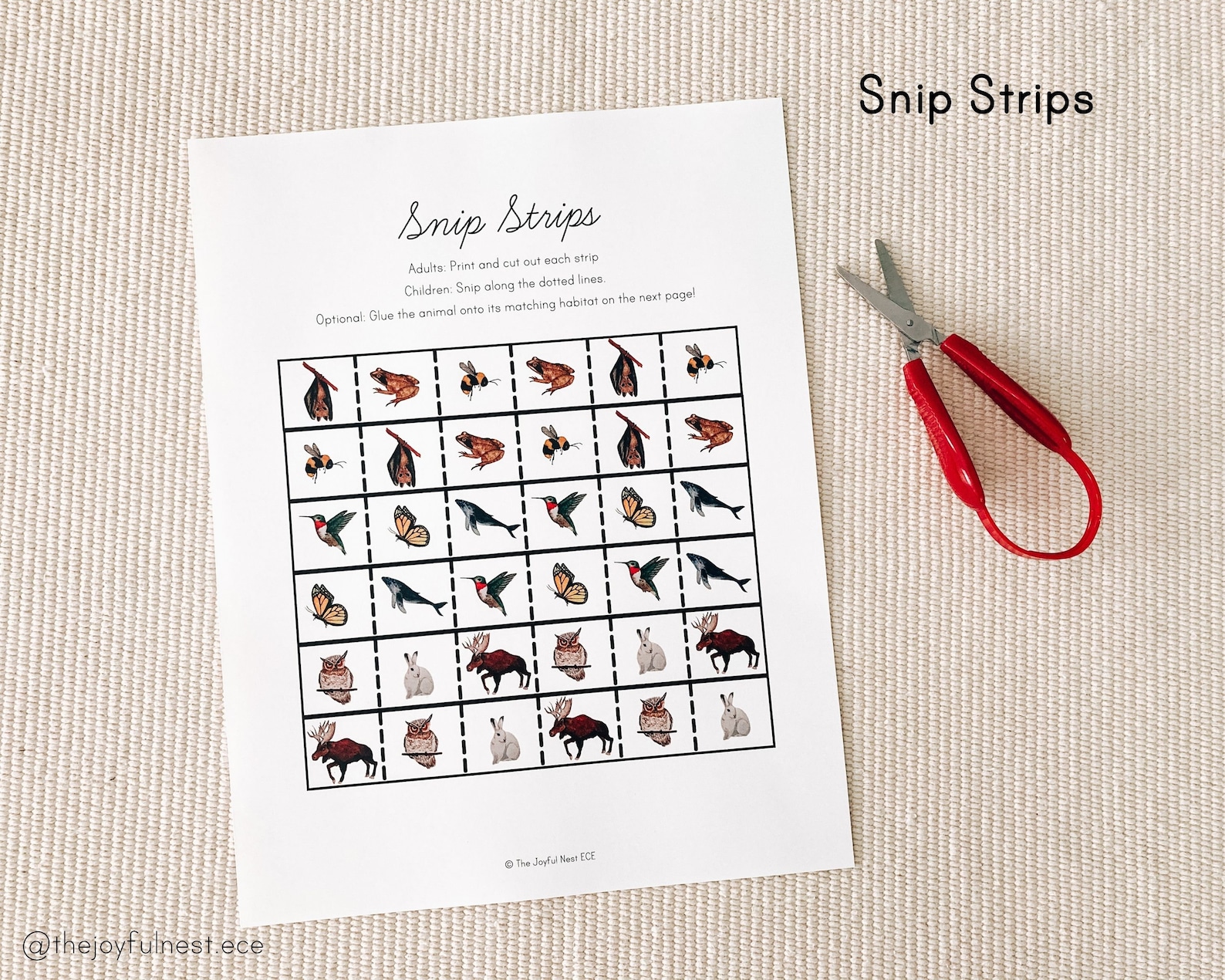 Animals in Winter: Hibernate, Migrate, Adapt Unit Study Montessori ...