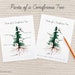 Parts of a Coniferous Tree | Conifer Unit Study | Montessori Printable ...