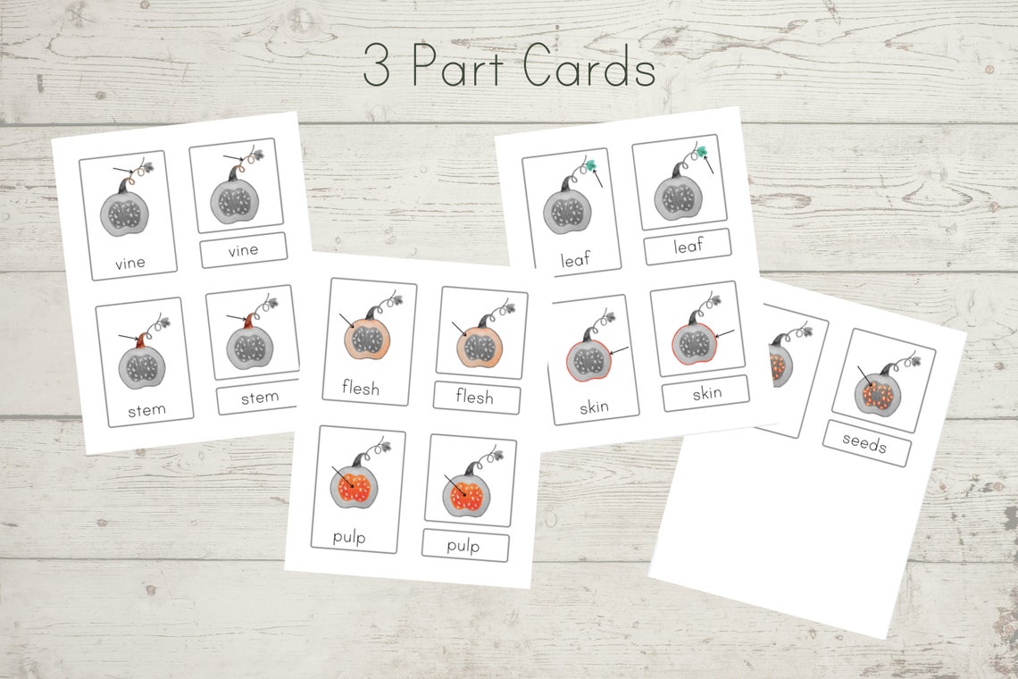 Pumpkin Unit Bundle: Life Cycle Anatomy Counting Cards - Etsy
