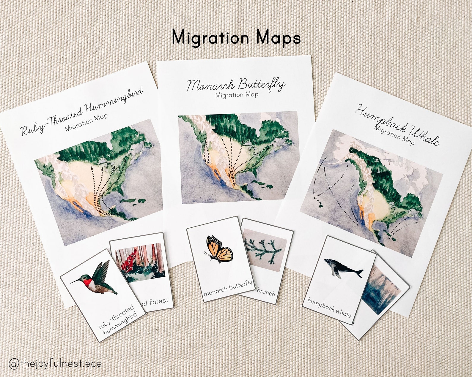 Animals in Winter: Hibernate Migrate Adapt Unit Study - Etsy