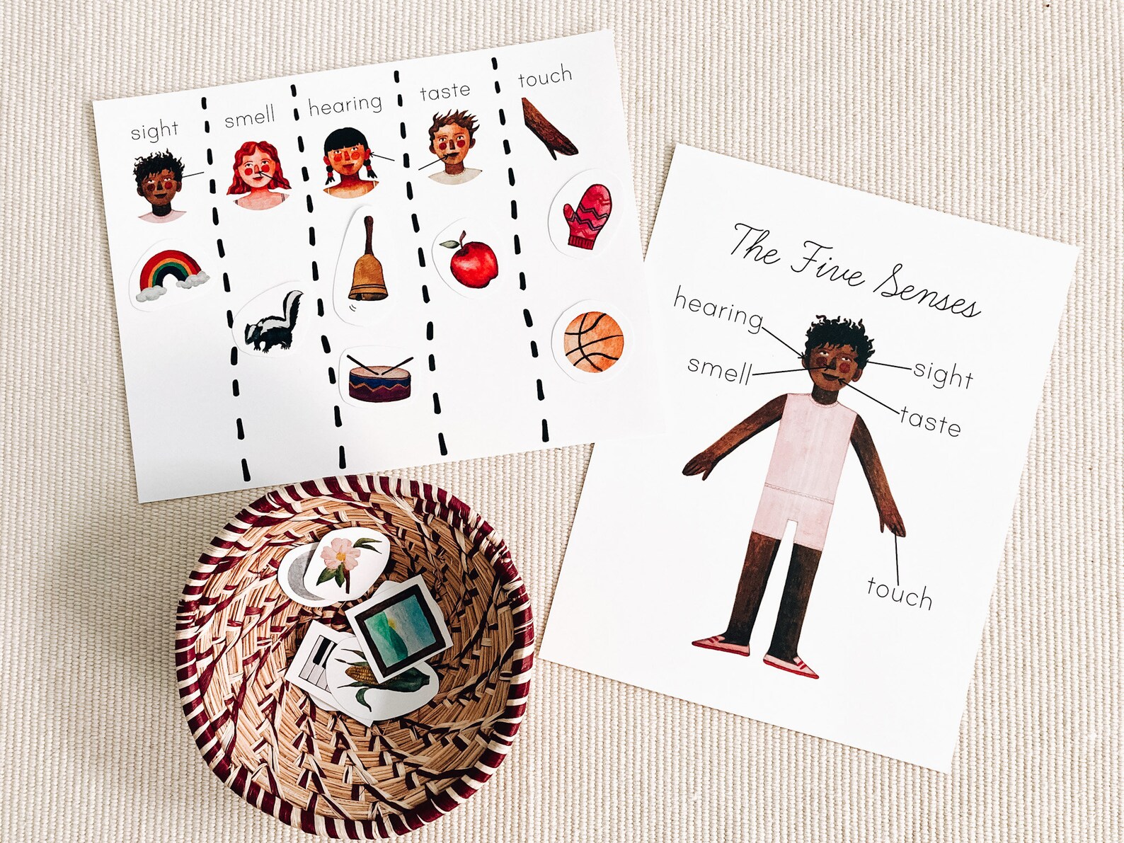 Five Senses Activities & Montessori 3 Part Cards Printable - Etsy