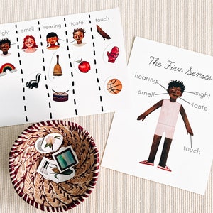 Five Senses Activities & Montessori 3 Part Cards | Printable PDF ...
