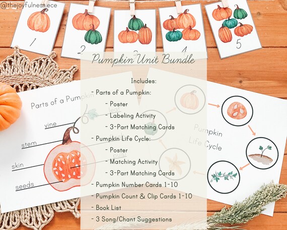 Pumpkin Unit Bundle: Life Cycle Anatomy Counting Cards | Etsy
