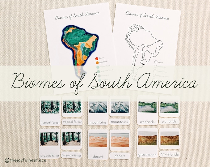 Biomes of the World - Montessori Three/four Part Cards - Etsy