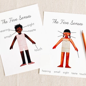 Five Senses Activities & Montessori 3 Part Cards | Printable PDF ...