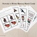 Animals in Winter: Hibernate, Migrate, Adapt | Unit Study | Montessori ...