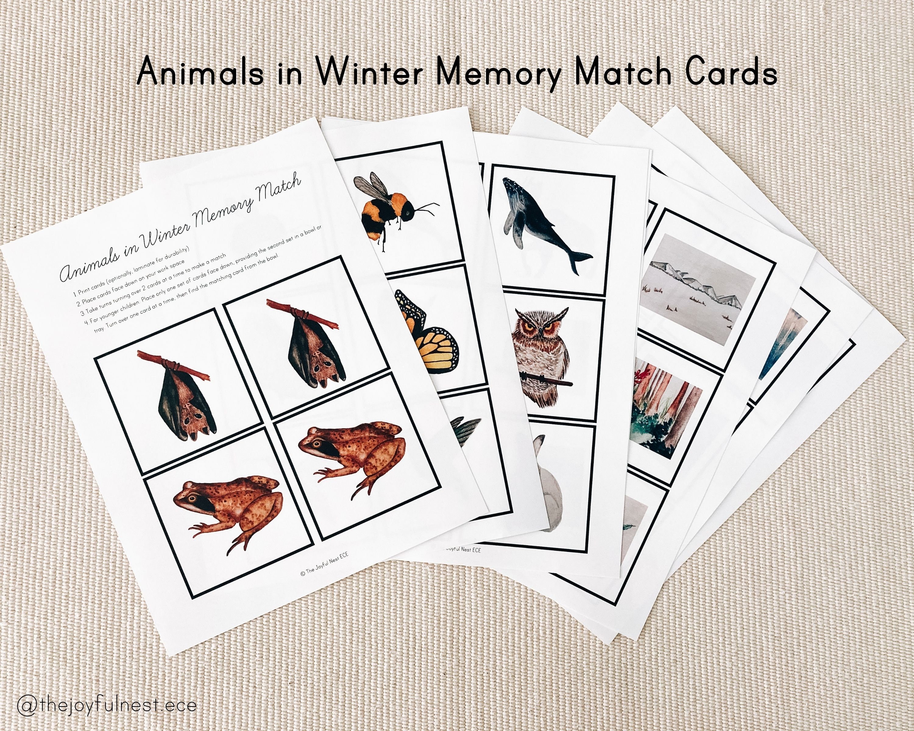 Animals in Winter: Hibernate, Migrate, Adapt | Unit Study | Montessori ...