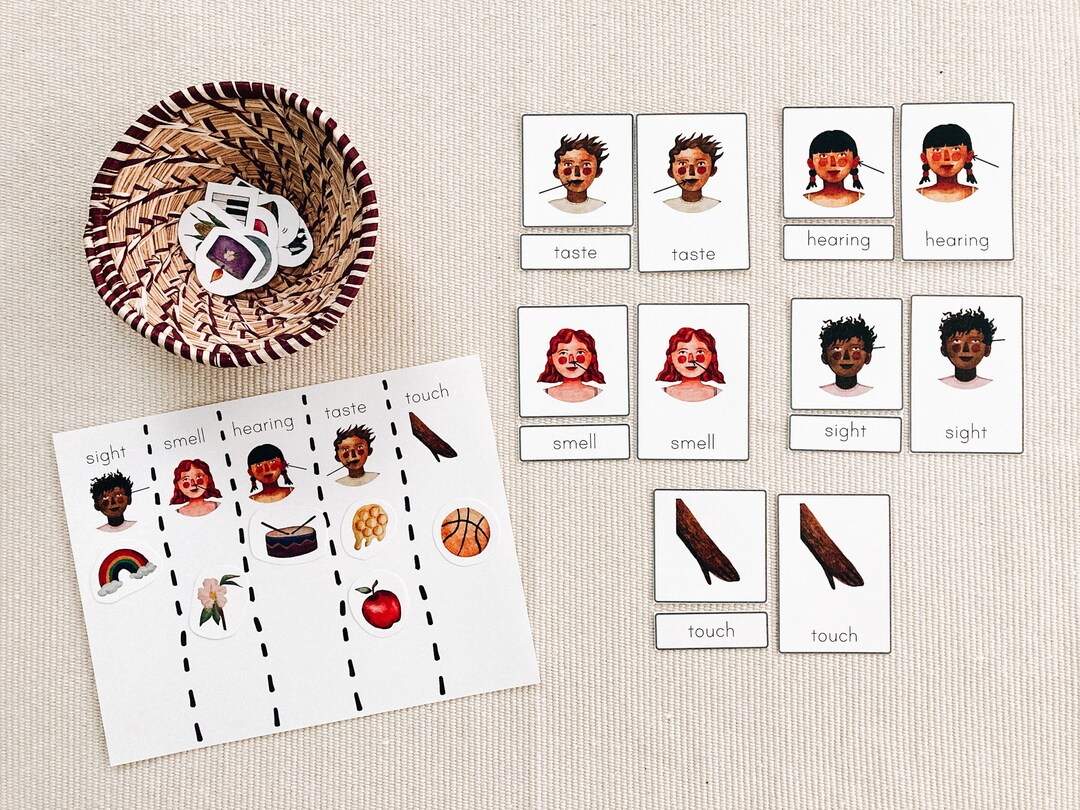 Five Senses Activities & Montessori 3 Part Cards | Printable PDF ...