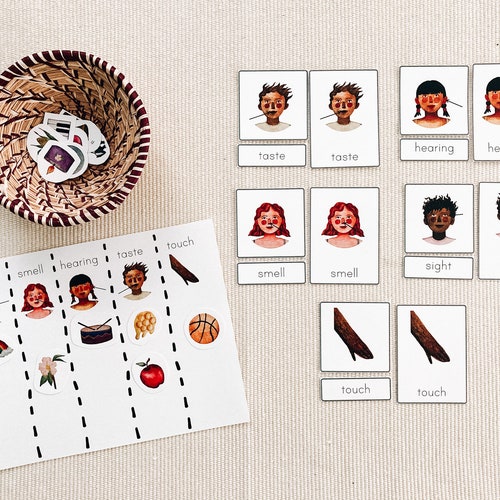 Five Senses Activities & Montessori 3 Part Cards Printable - Etsy