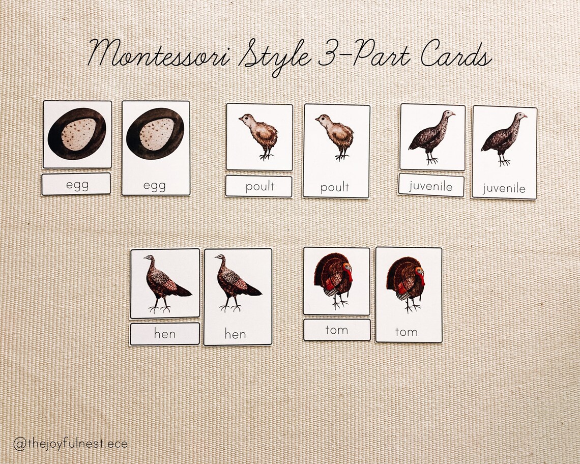 Life Cycle of a Turkey | Poster, Matching Actvitity, Montessori 3 Part ...
