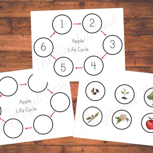 Watercolor Apple Life Cycle Matching Activity & 3 Part Cards Printable ...