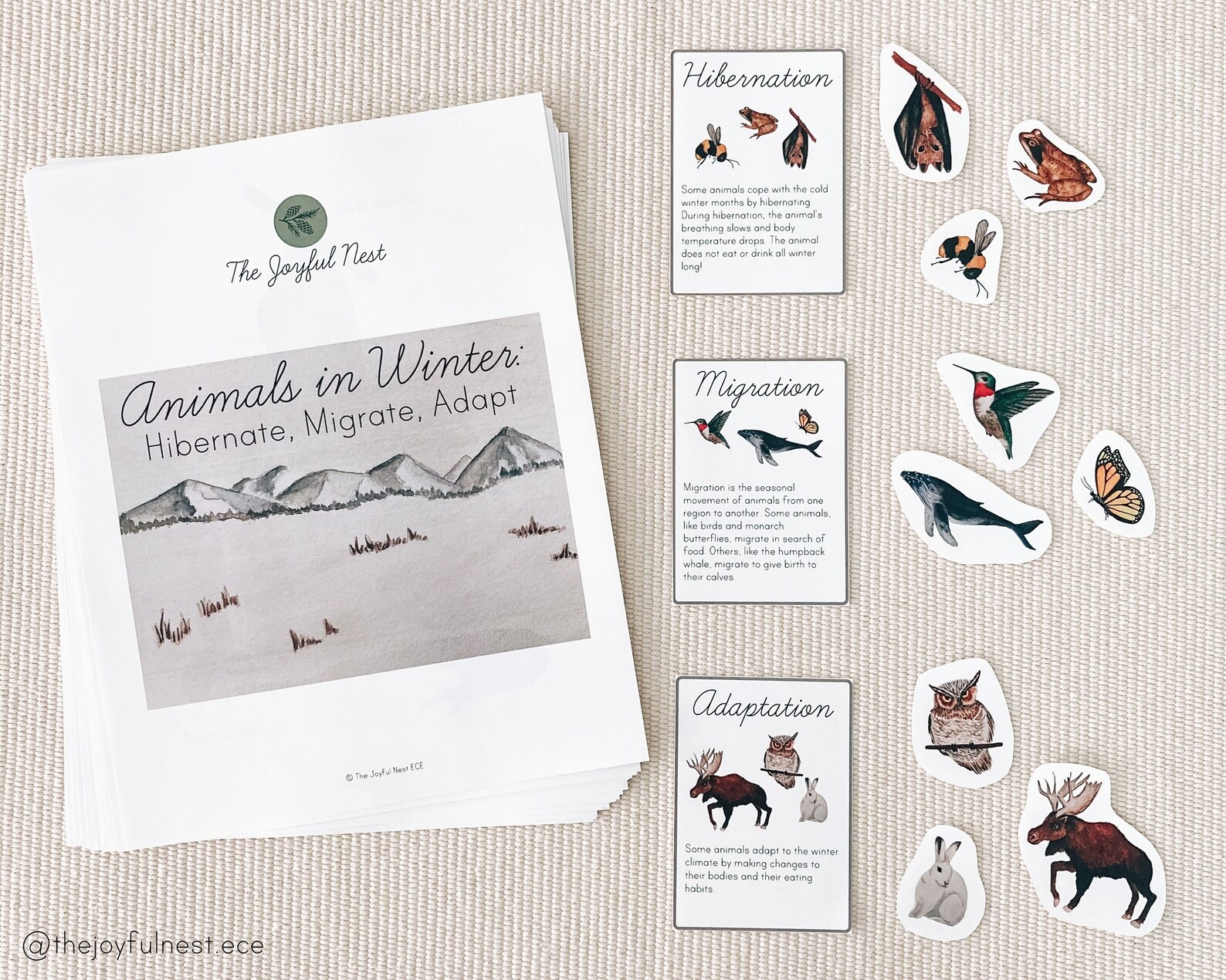 Animals in Winter: Hibernate, Migrate, Adapt | Unit Study | Montessori ...