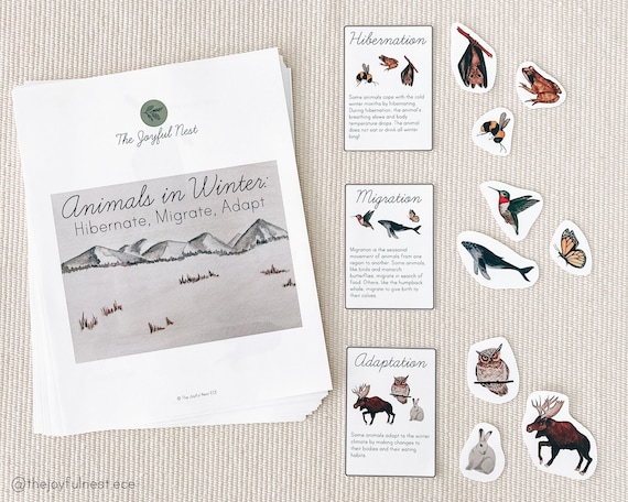 Animals in Winter: Hibernate Migrate Adapt Unit Study | Etsy