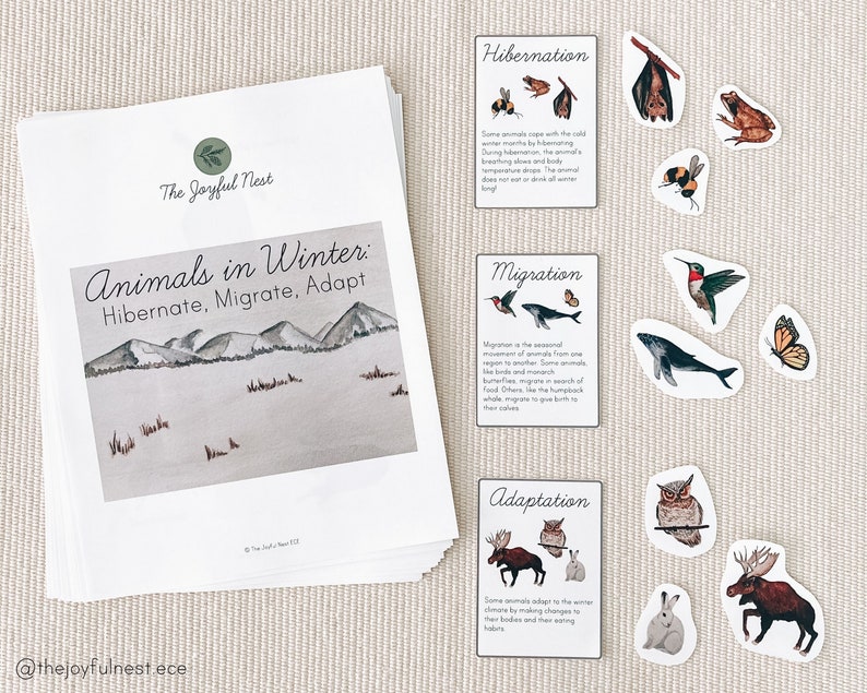 Animals in Winter: Hibernate, Migrate, Adapt | Unit Study | Montessori ...