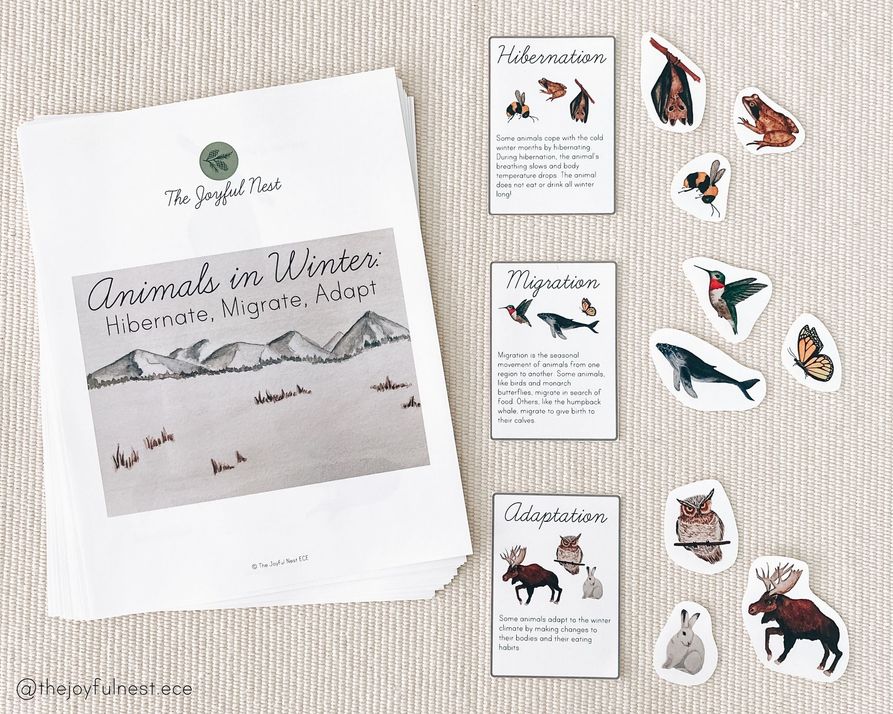 Animals That Migrate In Winter