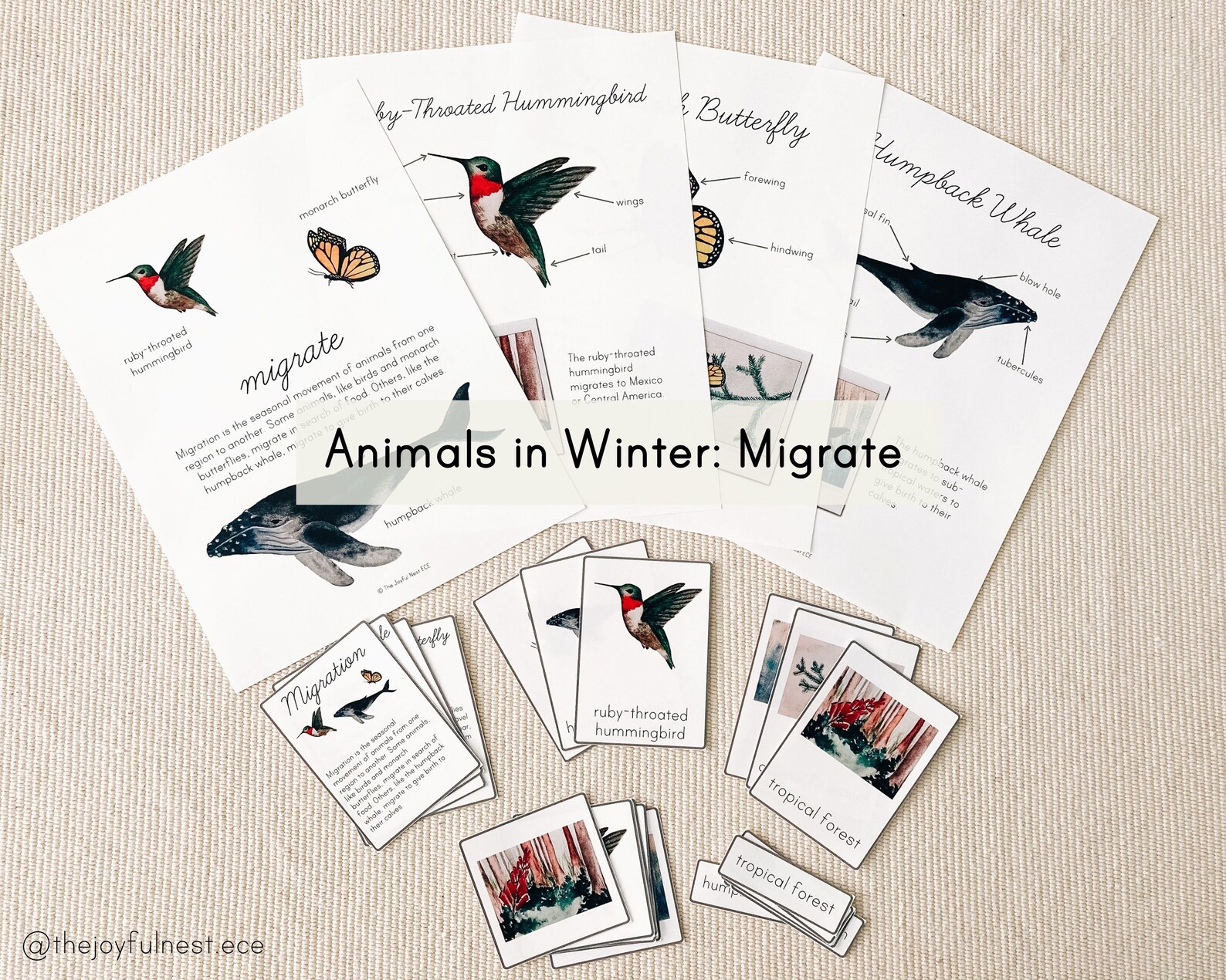 Animals in Winter: Hibernate, Migrate, Adapt | Unit Study | Montessori ...