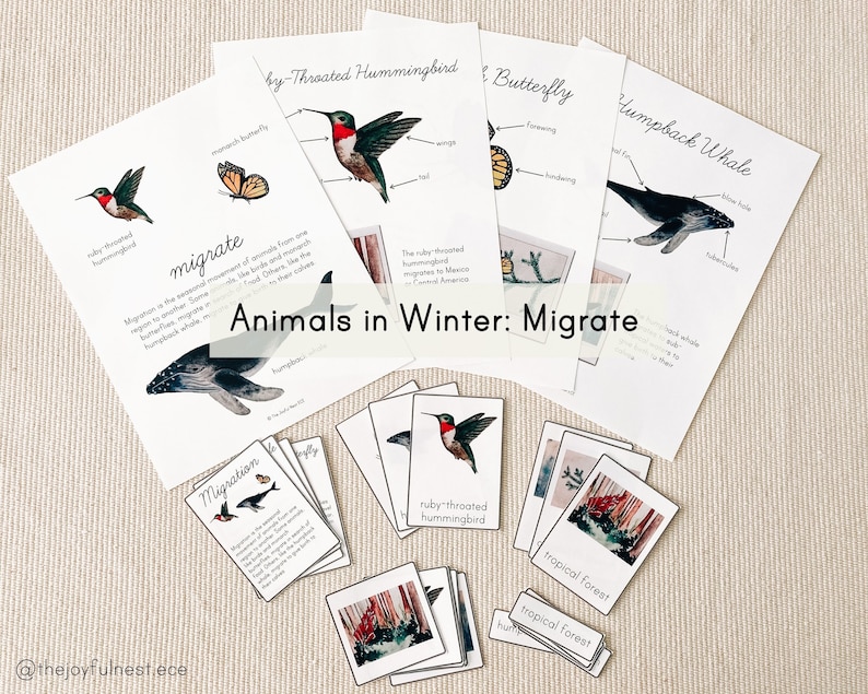 Animals in Winter: Hibernate Migrate Adapt Unit Study - Etsy