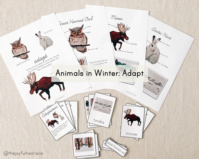 Animals in Winter: Hibernate Migrate Adapt Unit Study - Etsy