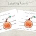 Pumpkin Unit Bundle: Life Cycle, Anatomy, Counting Cards, Songs, and ...