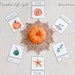 Pumpkin Life Cycle Matching Activity & 3-part Cards Printable - Etsy