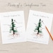 Conifer Tree Unit Study Bundle: Life Cycle, Parts of a Tree, Number ...