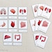 Human Anatomy & Organs | Montessori 3 Part Cards and Labeling Activity ...