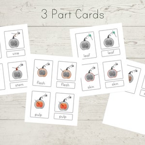 Parts of a Pumpkin Labeling Activity & 3 Part Cards Printable PDF - Etsy
